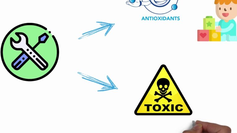 Descubre qué es la catalasa, cómo funciona y sus beneficios en la salud ...
